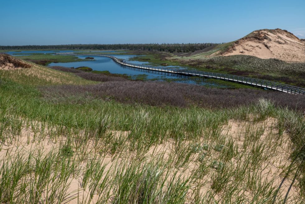 Confederation Trail - Points East Coastal Drive | Prince Edward Island